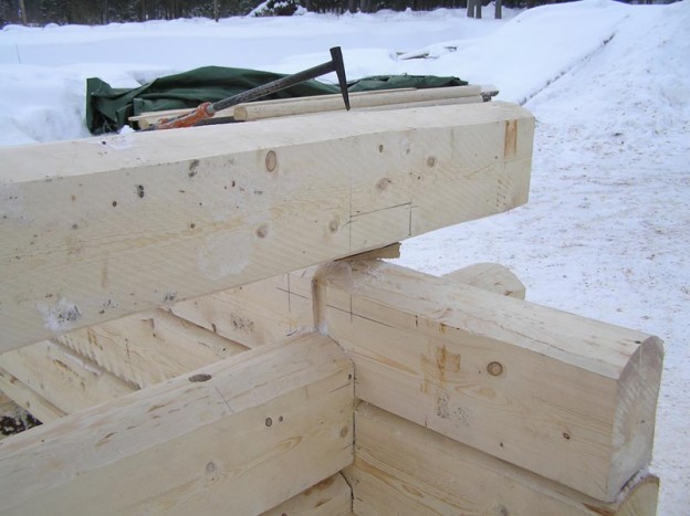 Different notch types – Hongos log work