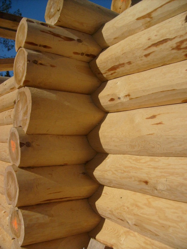 Different notch types – Hongos log work